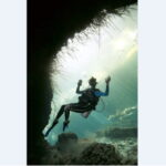 Quintana Roo: Cenote Dive - The Itinerary: What to Expect