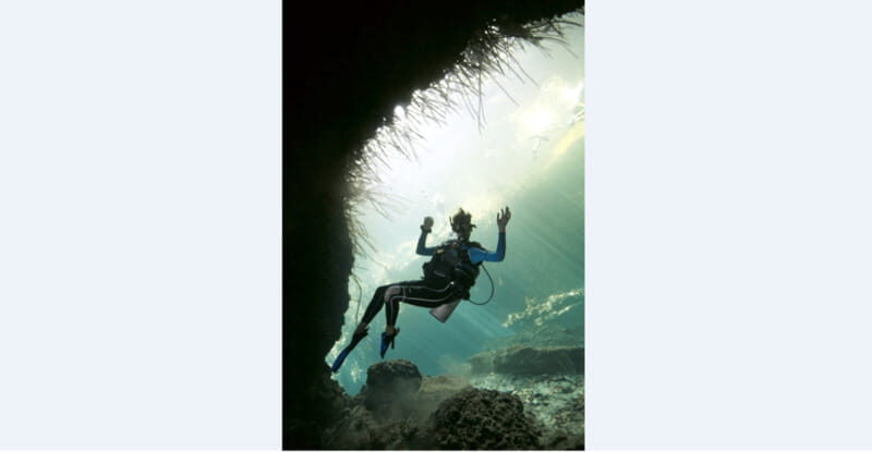 Quintana Roo: Cenote Dive - The Itinerary: What to Expect
