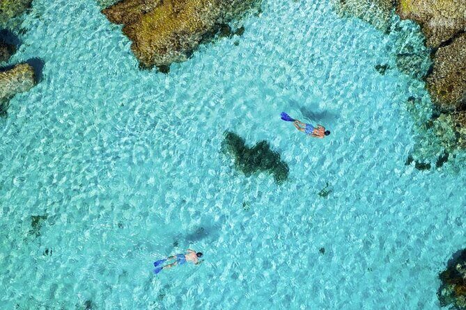 Quokkas Delight Rottnest Island - Exploring the Island: Bikes, Scenic Spots, and Highlights