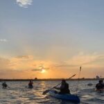 Raby Bay Wildlife Kayak Tour - Why This Tour Offers Real Value