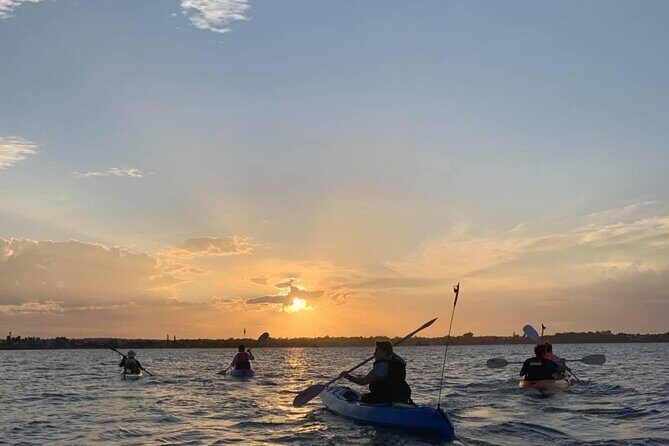 Raby Bay Wildlife Kayak Tour - Why This Tour Offers Real Value