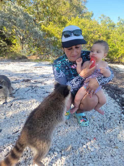 Raccoon Island: Exploration on SUP/Kayak - What Sets This Tour Apart?