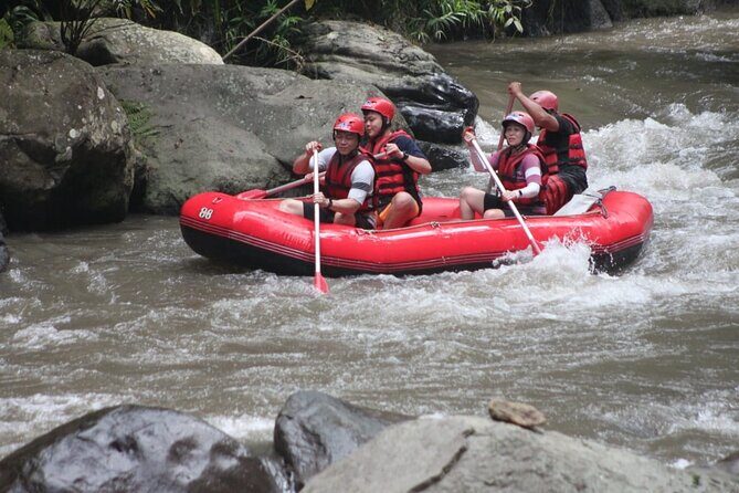 Rafting at Ayung River(Include Return Hotel Transportation) - Authentic Traveler Insights