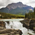 Rafting Athabasca Falls Run in Jasper - Practical Tips for Your Trip