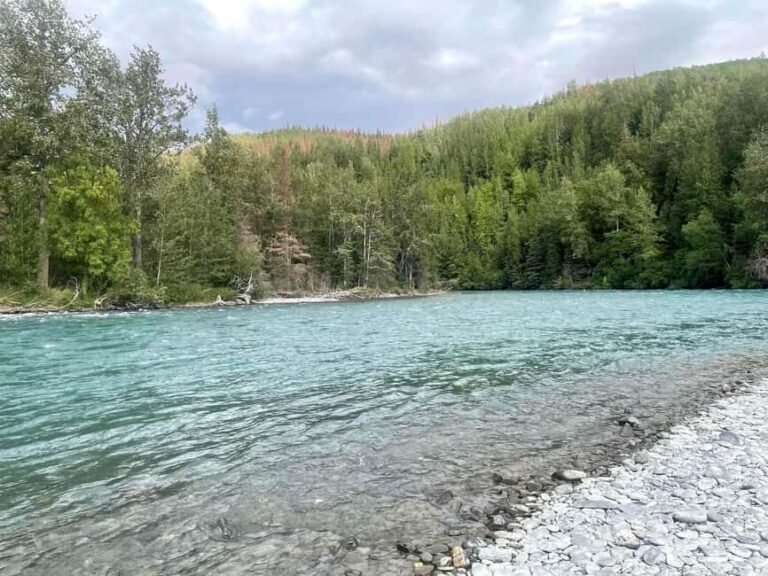 Rafting Kenai River- Cooper Landing Departure - What You Can Expect on the Water