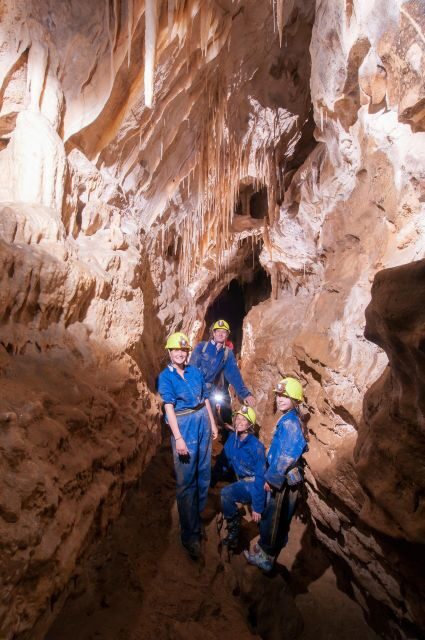 Raglan: Guided Cave Adventure with Glow Worms - What to Expect: A Closer Look at the Itinerary