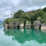 Raglan: Scenic Nature Boat Cruise - The Itinerary in Detail: What to Expect