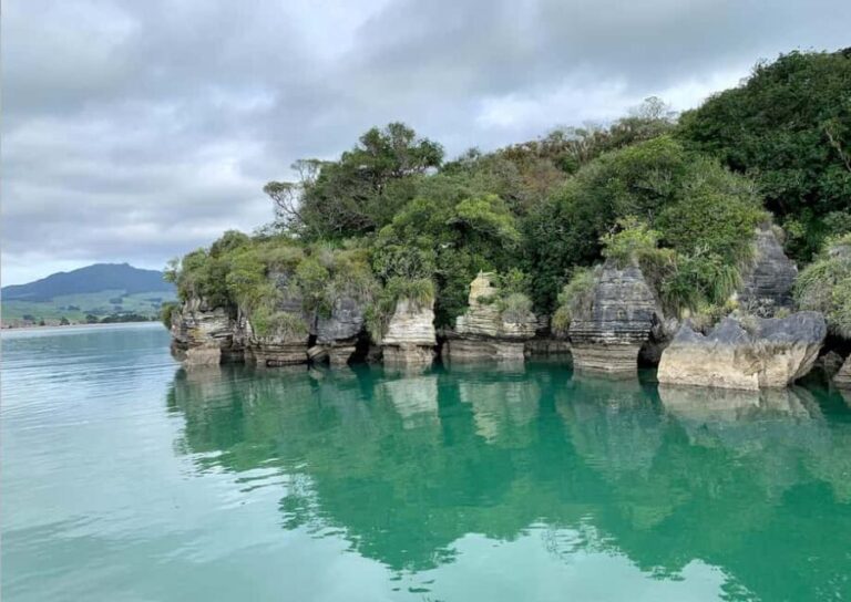Raglan: Scenic Nature Boat Cruise - The Itinerary in Detail: What to Expect