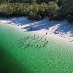 Rainbow Beach: 3-Day K'gari (Fraser Island) 4WD Adventure - Final Thoughts: Is This Tour Right for You?