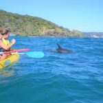 Rainbow Beach: Kayaking with Dolphins and Beach 4WD Tour - The Details: Logistics and Practical Considerations