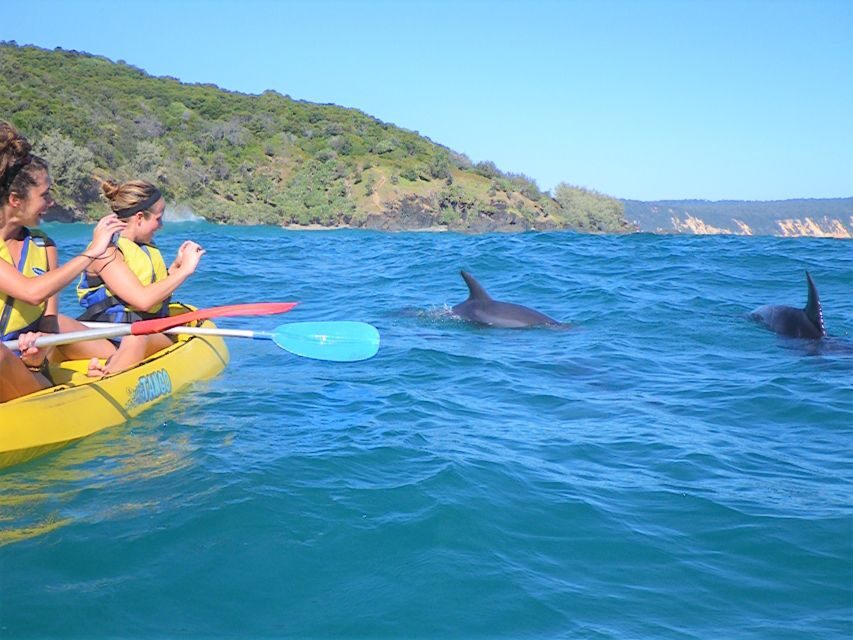 Rainbow Beach: Kayaking with Dolphins and Beach 4WD Tour - The Details: Logistics and Practical Considerations