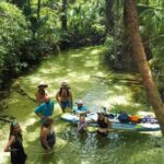 Rainbow Springs Clear Kayak and Paddleboard Rentals - The Experience of Paddling and Snorkeling