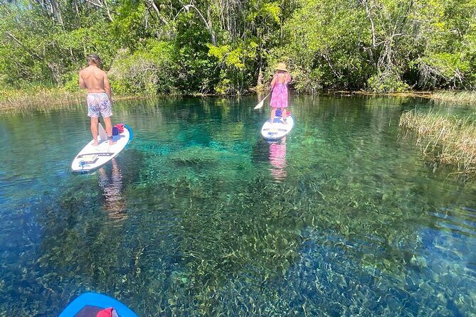 Rainbow Springs Electric Paddle Board Rentals - What’s Included and What’s Not