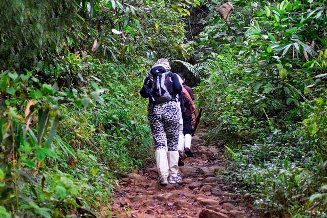 Rainforest Trekking in Kitulgala - Why This Tour Offers Great Value