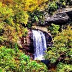 Rainforests and Waterfalls of Western NC - Final Thoughts
