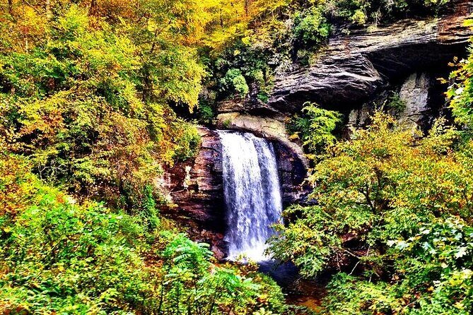 Rainforests and Waterfalls of Western NC - Final Thoughts