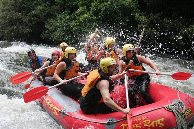 Rangitaiki River White Water Rafting from Rotorua - Detailed Breakdown of the Itinerary