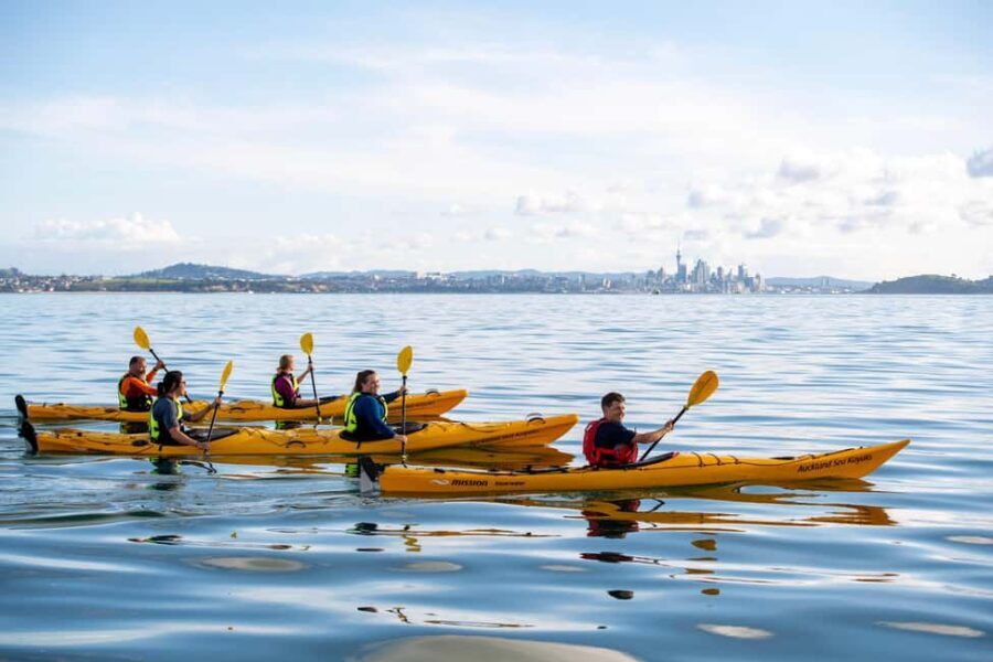 Rangitoto Island: Sea Kayak & Summit Hike Day Trip - Detailed Breakdown of the Itinerary & Highlights