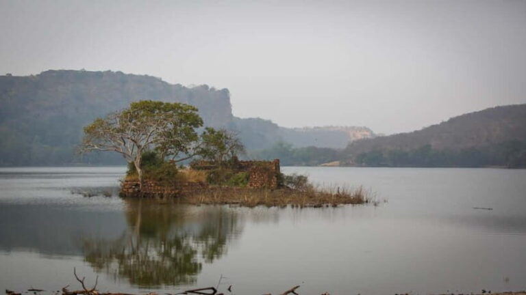 Ranthambore: Shared Tiger Safari in Canter or Gypsy - What to Expect from the Safari Experience