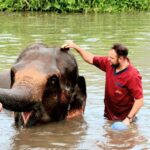 Rantong elephant sanctuary Chiangmai - How This Tour Compares to Similar Experiences