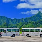 Rarotonga International Arrivals Seat in Coach Transfer - Real Traveler Insights