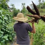Real Bali Farm Cooking and Traditional Market Adventure in Ubud - What Past Participants Say
