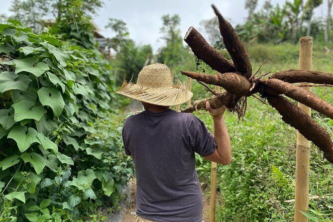 Real Bali Farm Cooking and Traditional Market Adventure in Ubud - What Past Participants Say