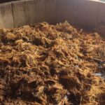 Real Mezcal Adventure - What You Can Expect from the Tour Experience