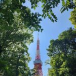 Real Tokyo in one day with a local - What Makes This Tour Stand Out?