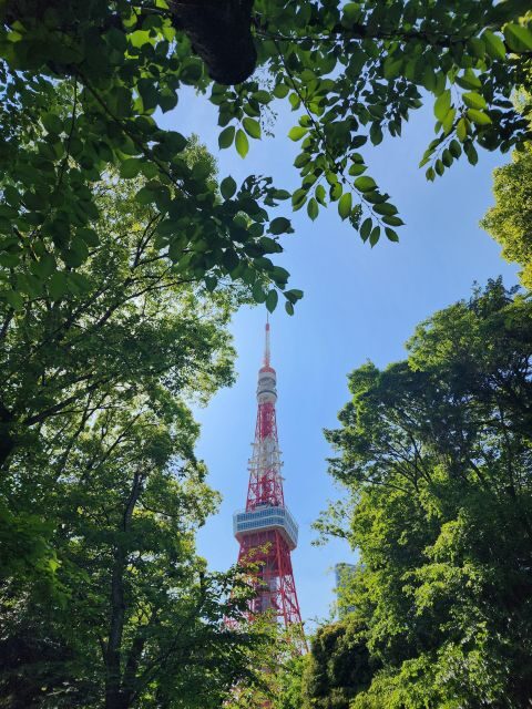 Real Tokyo in one day with a local - What Makes This Tour Stand Out?