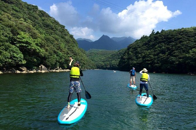 [Recommended on arrival date or before leaving! ] Relaxing and relaxing water walk Awakawa River SUP [half afternoon tour] - Whats Unique About This Tour?