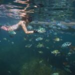 Red River Tour - Snorkeling Day Tour 2 Islets in Phu Quoc - Is the Tour Worth the Money?