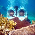 Red River Tours - Sea Walking Experience in Phu Quoc - The Marine Environment