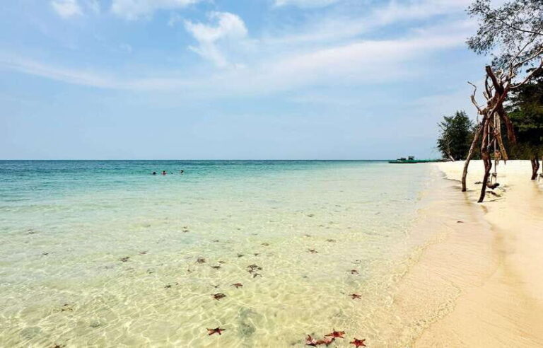 [Red River Tours] Sightseeing to the North in Phu Quoc - Why This Tour Works for Travelers