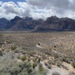 Redrock Hikes Come See Our South West Historic Beauty - Wildlife and Nature Encounters