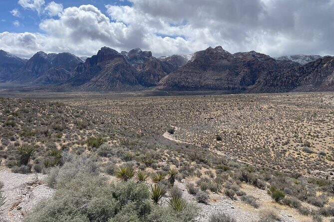 Redrock Hikes Come See Our South West Historic Beauty - Wildlife and Nature Encounters