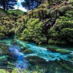 Redwood Forest , Blue Springs & Huka Falls Day Tour from Auckland - The Value Proposition