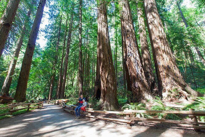 Redwood Retreat: Tour to Muir Woods from San Francisco - Transportation and Logistics