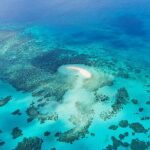 Reef and Rainforest 60 minute Scenic Flight - Why Travelers Love It — Authentic Insights From Reviews