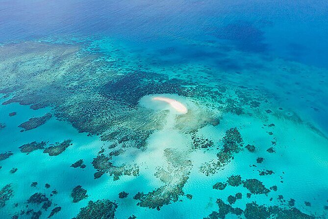 Reef and Rainforest 60 minute Scenic Flight - Why Travelers Love It — Authentic Insights From Reviews