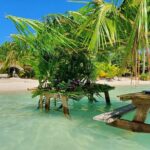 Reef Discovery Luxury Water Lunch Cruise - Why This Tour Is Valuable