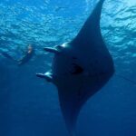 Reef Discovery Private Dream Day Tour - Why the Price Reflects the Experience