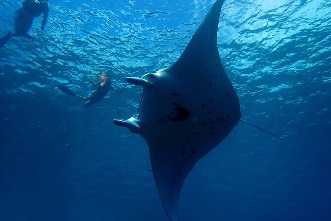 Reef Discovery Private Dream Day Tour - Why the Price Reflects the Experience