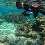 Reef Exploration with Reva Atea participatory science - FAQ: Your Practical Questions Answered