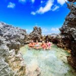 REEF ISLAND | private island | pink sand | natural swimming pools - What Makes This Tour Stand Out?