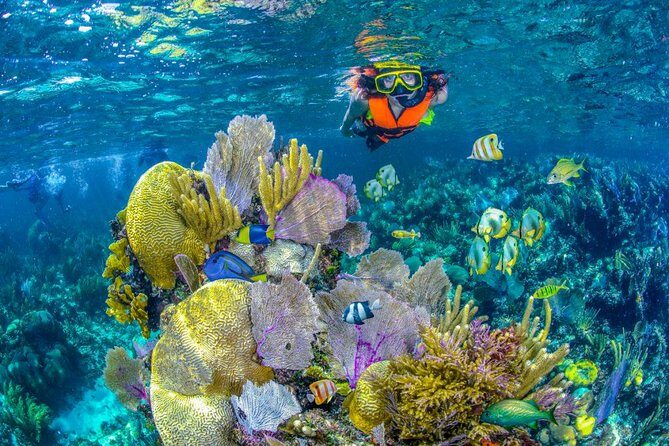 Reef Snorkel In National Park In Puerto Morelos With Lunch And Transportation - Final Thoughts: Does It Offer Good Value?