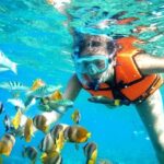 Reef Snorkeling in National Park from Cancun with Beachside Lunch - Who Will Love This Tour?