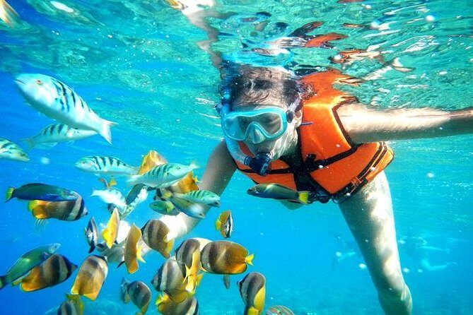 Reef Snorkeling in National Park from Cancun with Beachside Lunch - Who Will Love This Tour?
