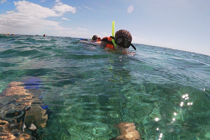 Reef Snorkeling with ATV, Zipline, Cenote that includes lunch and transportation - Why This Tour Offers Great Value