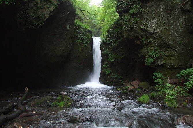 Relax and refresh in Karuizawa Forest! Shinanoji down trekking around two people - Detailed Breakdown of the Itinerary